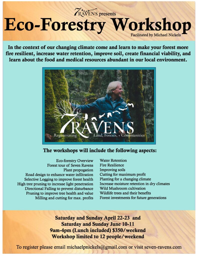 Workshops - Seven Ravens